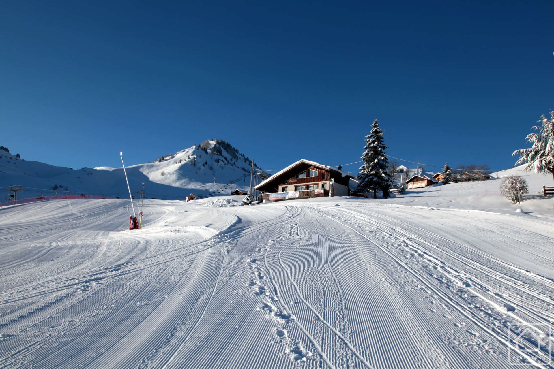 Le Vieux Savoyard - Alpine Property, Agence Immobiliere